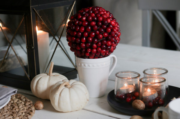 DIY Cranberry Topiaries - Seeking Lavender Lane