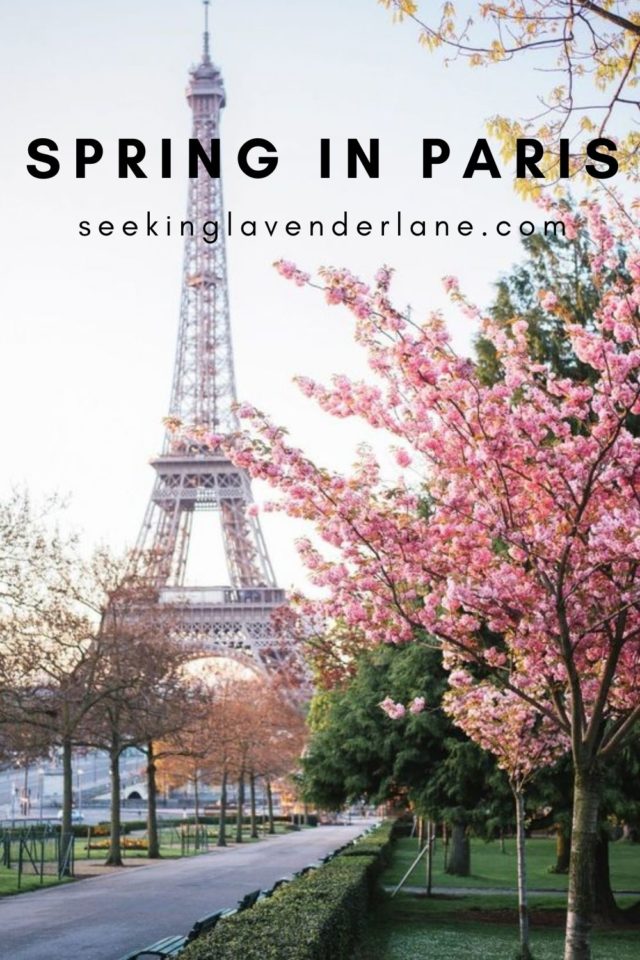 Spring in Paris - Seeking Lavender Lane